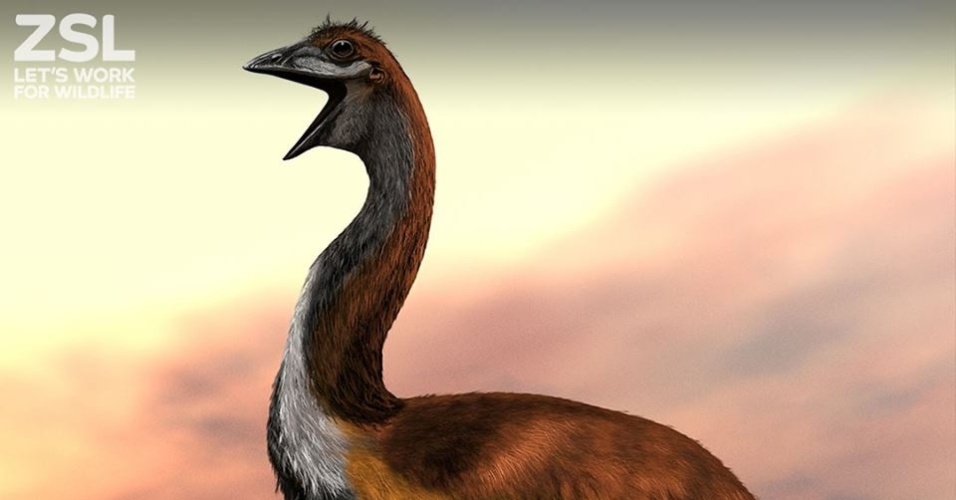 por-60-milhoes-de-anos-o-colossal-passaro-elefante-aepyornis-maximus ...